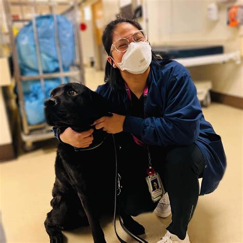 Nicole Reed Health Match Bc Nicolerecruitsnurses • Instagram