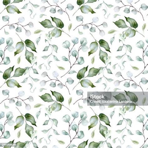 수채화 녹지 식물 유칼립투스 섬세한 완벽 한 패턴이 분리되어 있습니다 물결 모양의 나뭇 가지 손으로 그린 먼지 투성이의 녹색의 단풍 질감 Holly는 디자인 섬유 포장에
