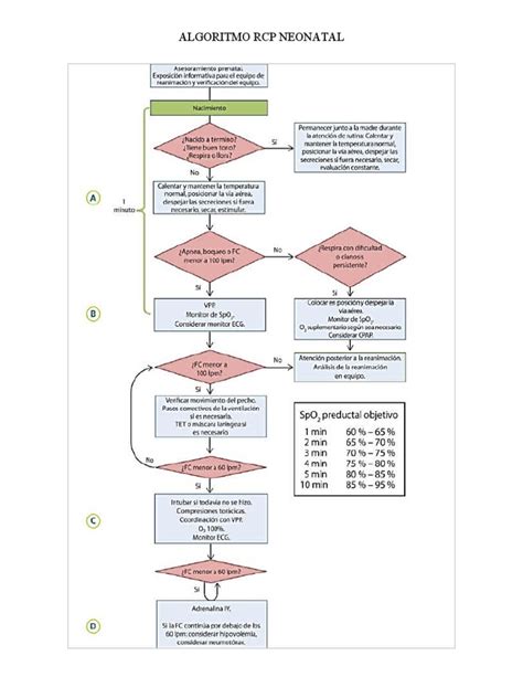 Algoritmo Rcp Neonatal Pdf