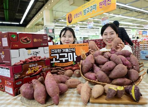 농협 하나로마트 겨울철 달콤 구수 영양 간식 고구마 많이 드세요