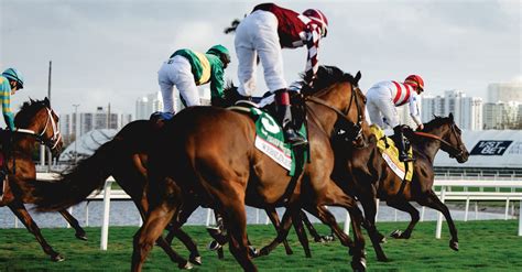 Thoroughbred Investor Sol Kumin Shares His Secrets To Horseracing