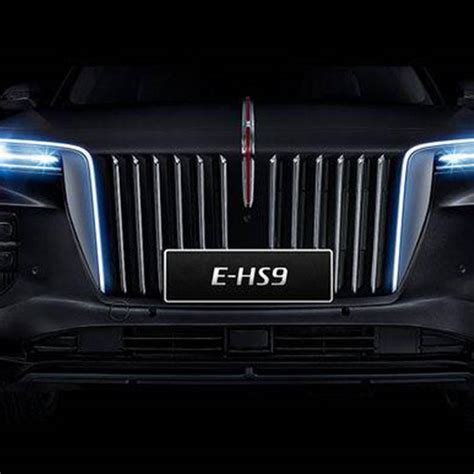 Hongqi Ehs9 Black Color Car Electric Cars And Accessories In Dubai Uae