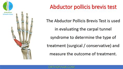 Abductor Pollicis Brevis