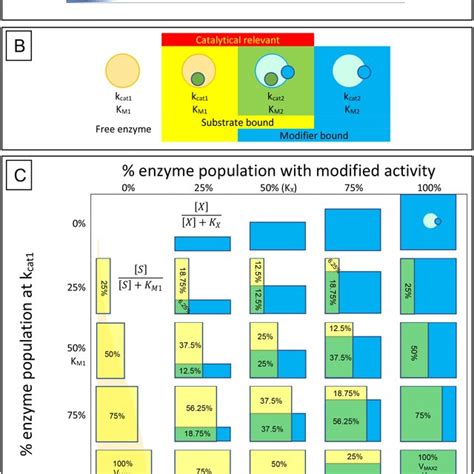 Enzyme Substrate Modifier Interactions A Enzyme Substrate Binding Download Scientific