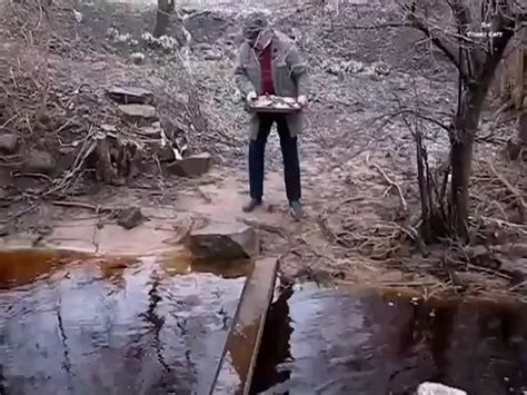 Video Ahmad Ali Khan 🇵🇰 On Linkedin Sharp Little Mind Smart Kitty 😍