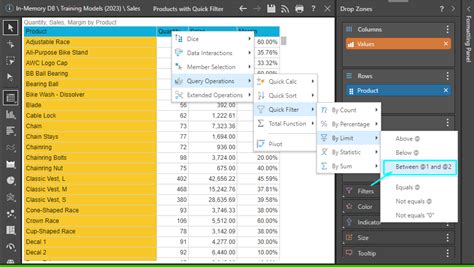 How To Create A Slider Filters Questions Answers Pyramid Analytics Community Forum