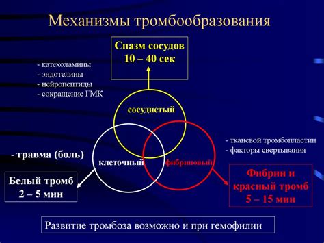 Факторы риска венозных тромбозов при эндопротезировании тазобедренного и коленного суставов