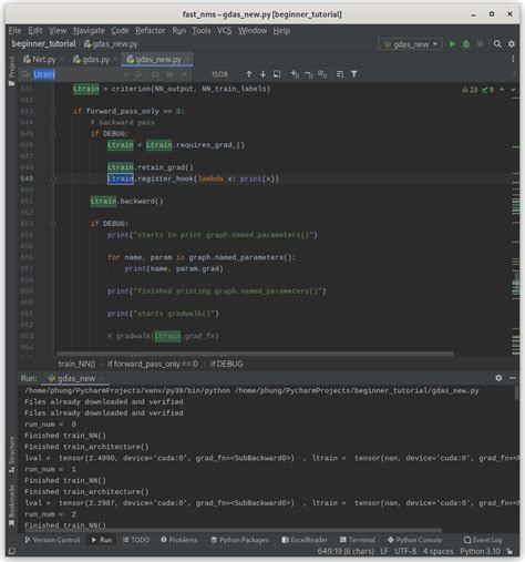 nan training loss r pytorch