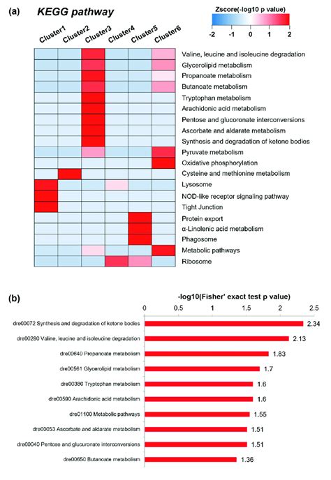 A Kegg Pathway Based Enrichment Analysis In Clusters 1~6 The Download Scientific Diagram