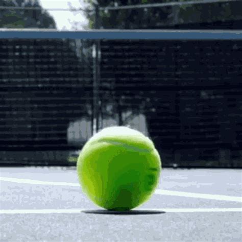 Tennis Ball Spinning  Tennis Ball Spinning Tennis Discover