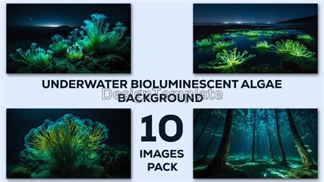 Glowing Ocean Depths Stunning Bioluminescent Algae Scenes Images