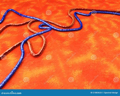 Aders En Slagaders Stock Illustratie Illustration Of Schip 21883633