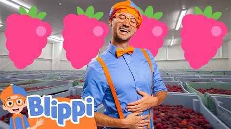 Raspberry Song Learning Videos With Blippi Youtube