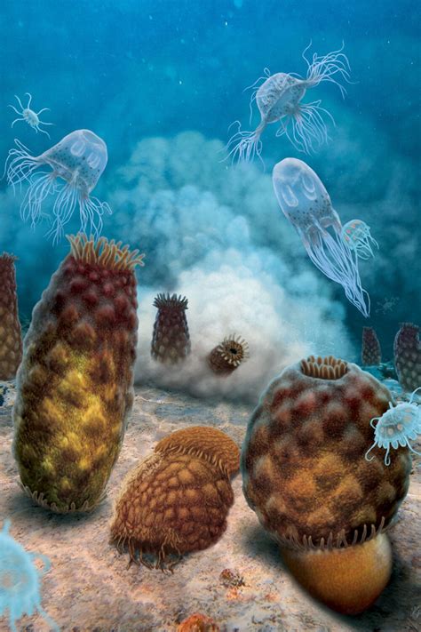 Paleontologists Flip The Script On Anemone Fossils Uic Today