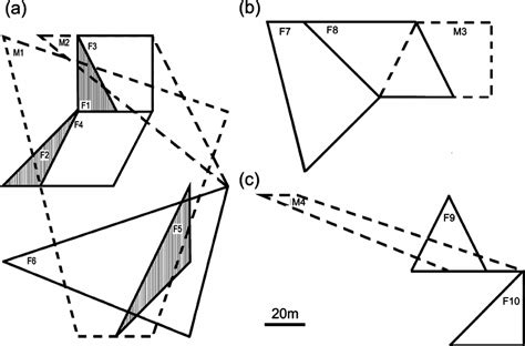 Patterns Of Home Range Overlap In A Population Of Marmosops Paulensis Download Scientific