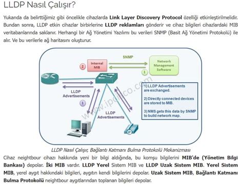 Lldp Nedir Link Layer Discovery Protocol