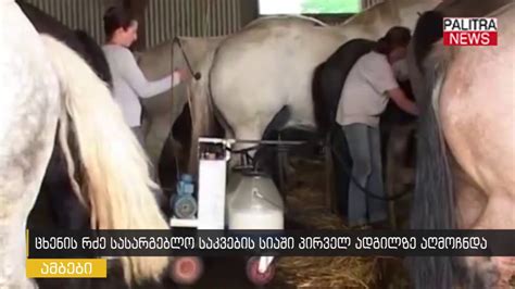 ცხენის რძე სასარგებლო საკვების სიაში პირველ ადგილზე აღმოჩნდა Youtube