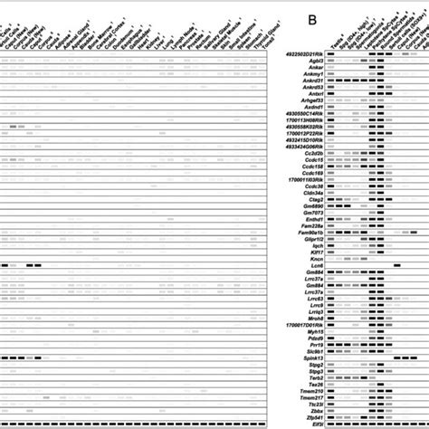 Of The Human And Mouse Rna Seq Samples Used In The Identification Of Download Scientific