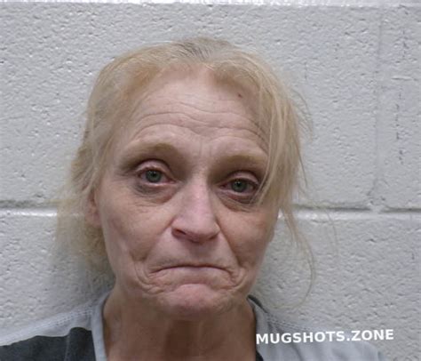 Lindsay Tracy Michelle 06 06 2025 Henderson County Mugshots Zone