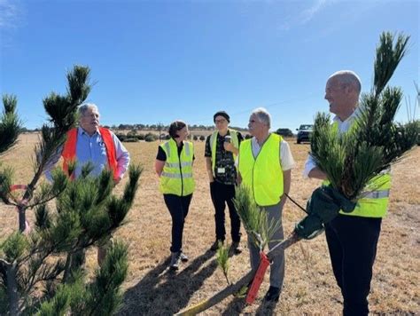 I Very Much Enjoyed A Visit To Tree Breeding Australia And The Forestry Centre Of Excellence