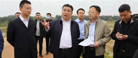 市委常委、常务副市长饶清华到弋阳调研农业产业项目落地工作发展特色段建