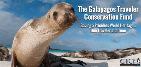 Jalpa Shah On Linkedin Galapagos Tour Operators Call For Limits On