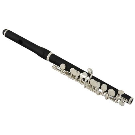 8 Best Flutes Reviewed In Detail May 2025