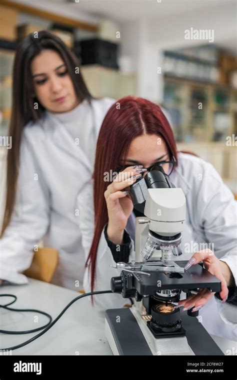 Woman Using Microscope Near Colleagues In Laboratory Stock Photo Alamy