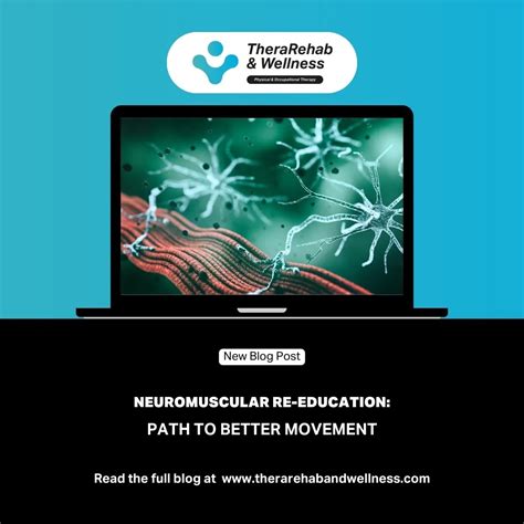 Neuromuscular Re Education Path To Better Movement Therarehab And Wellness