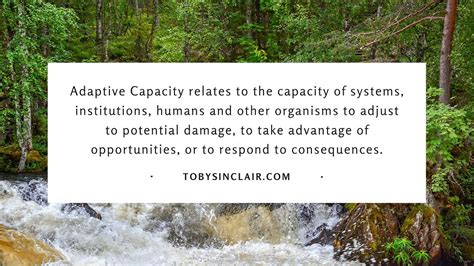 What Is Adaptive Capacity A Short Guide And Description