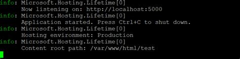 there is a re direct issue with nginx when deploying core