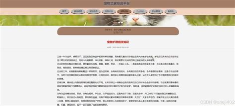 Javavue计算机毕设宠物之家综合平台【源码开题论文程序】 Csdn博客