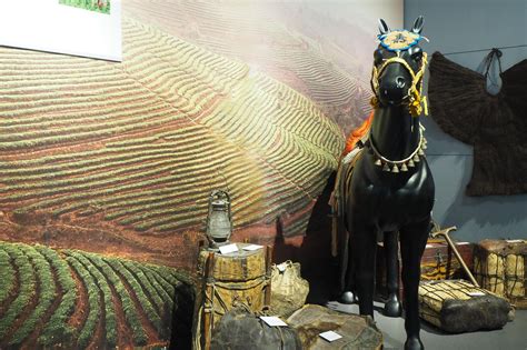 展讯丨国内规模最大“茶马古道”展亮相宁波原创热点品牌栏目浙江视界每日关注 茶马古道 浙江 宁波 新浪新闻