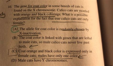 Cant We Speak Of Codominance For Sex Linked Traits I Though That
