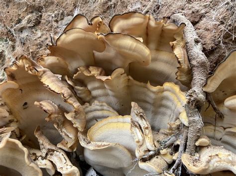 Pin By Emmeliejacimovic On Emmelie Jacimovic Photo Gallery Photo Galleries Photo Gallery