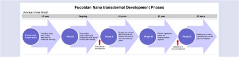 Schematic Steps In Fucoidan Nano Transdermal Patch Development
