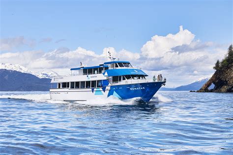 Kenai Fjords Wildlife Cruise Photos