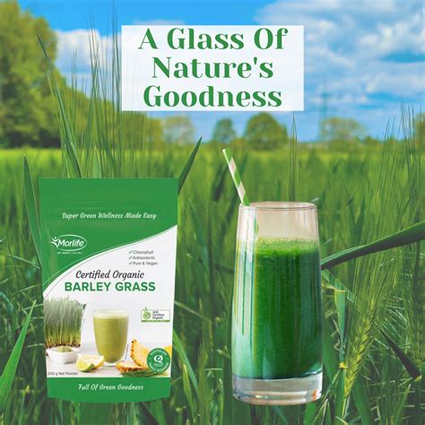 Certified Organic Barley Grass Powder 200g