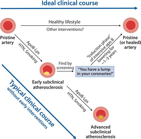 Vol 44 No 1 Arteriosclerosis Thrombosis And Vascular Biology