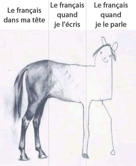 French Memes Humor