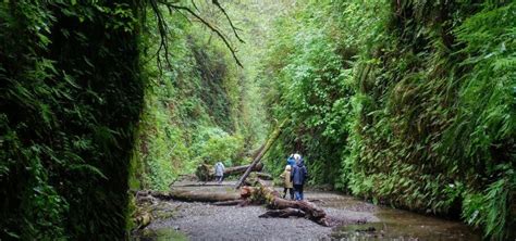 California State Parks Foundation On Linkedin Funding For Popular