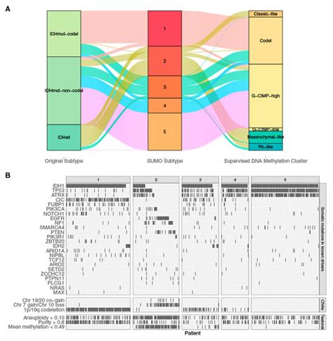 Features Of Tumors Assigned To The Various Subtypes A Sankey Plot