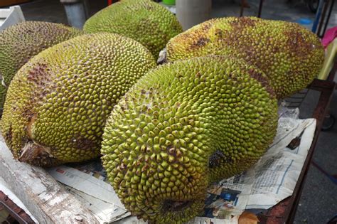 Jackfruit Also Known As Jack Tree Stock Image Colourbox