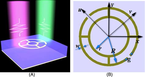A Diagrammatic Drawing And B Geometric Dimensions Of Polarization Download Scientific Diagram