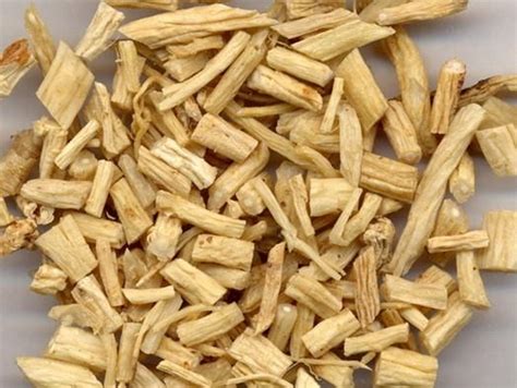 China Good Price Codonopsis Powder Manufacturers Suppliers Factory