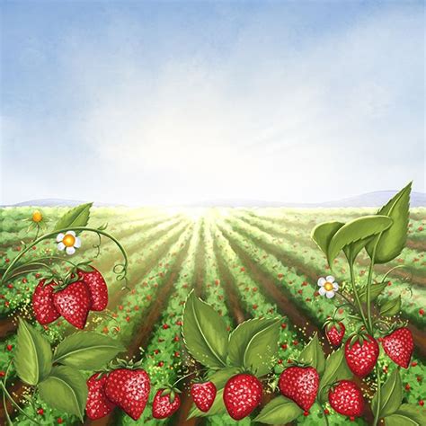 Strawberry Fields Illustration