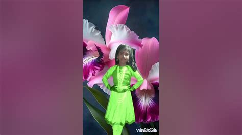 Dur Dipo Basini Youtube