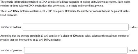 The Genetic Information Contained In Dna Consists Of A Linear Sequence Of Coding Units Known As