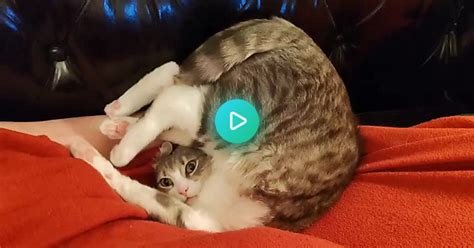 What A Weirdo Album On Imgur