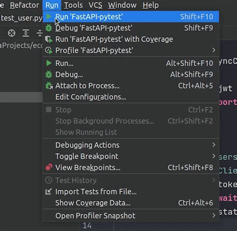 Testing Jetbrains Guide